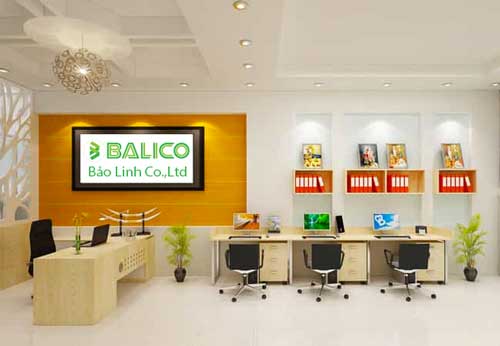 CÔNG TY CỔ PHẦN GIẢI PHÁP CÔNG NGHỆ BẢO LINH